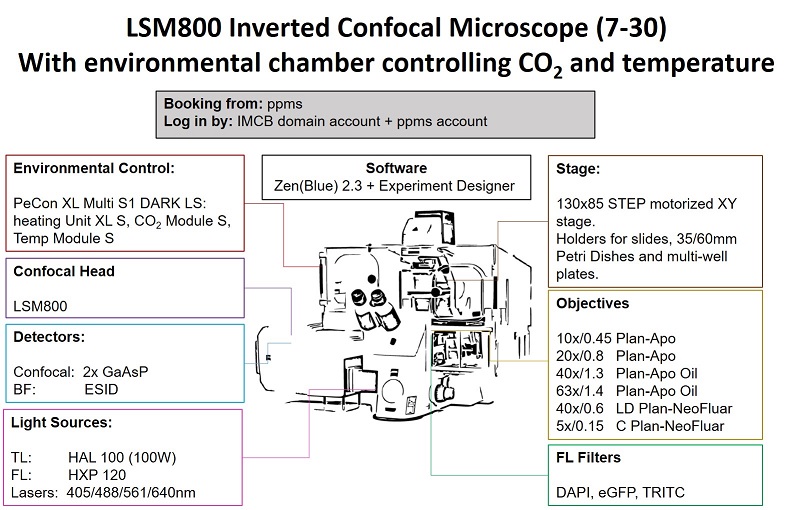 Confocal: Zeiss LSM800 Inverted with Env Chamber - A*STAR Scientific ...